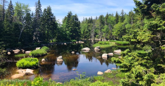Climb Castle Rock - South Shore Tourism Cooperative