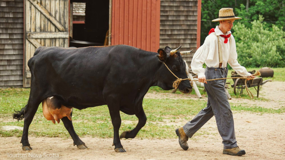 Ross Farm Museum is a "Must Do" - South Shore Tourism Cooperative